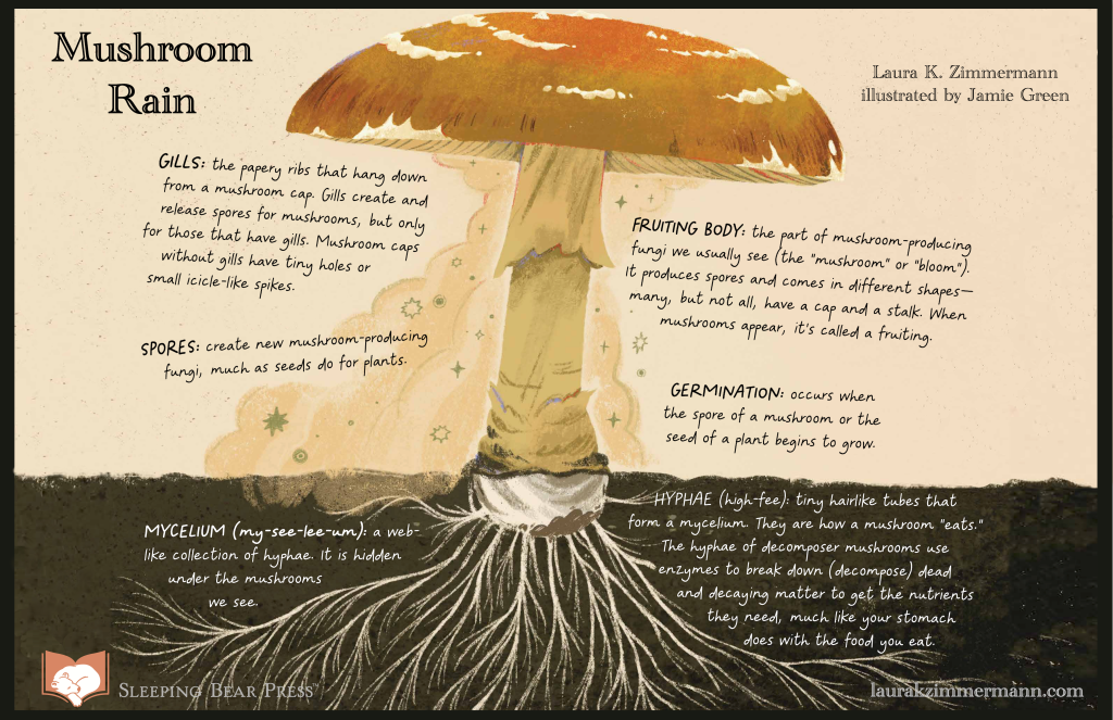 Mushroom Rain